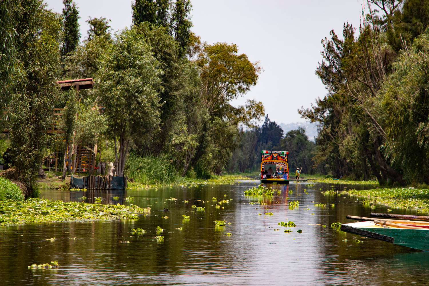 Secretoo - Visiter Coyoacán & les jardins flottants sur le lac de ...